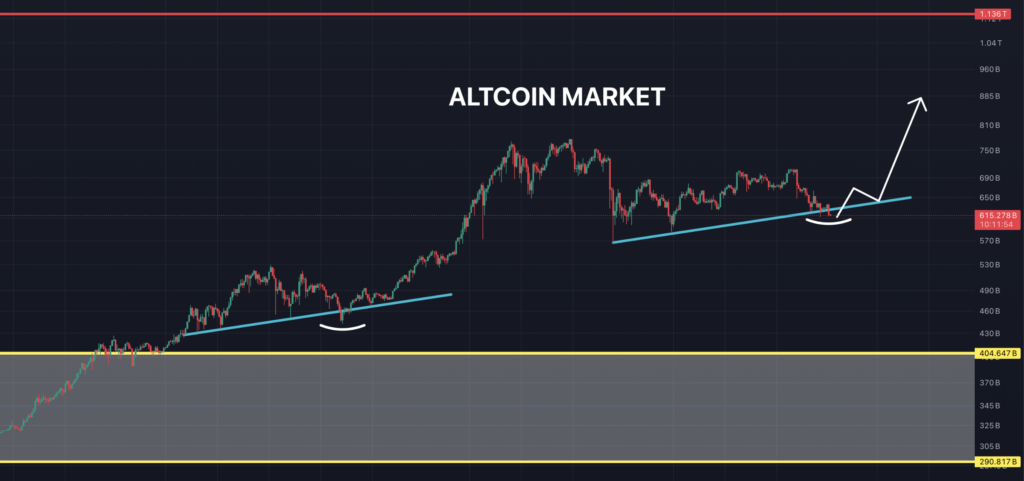 Altcoin Market Dips Below Support - CLEARVALUE INVESTING