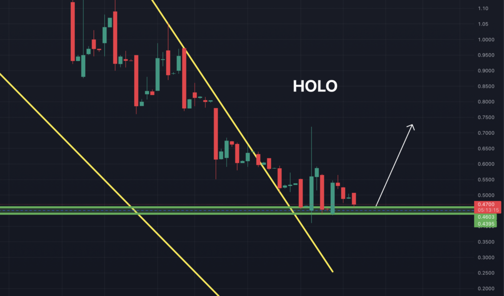 HOLO Building Support Between $0.44 - $0.46 - CLEARVALUE INVESTING