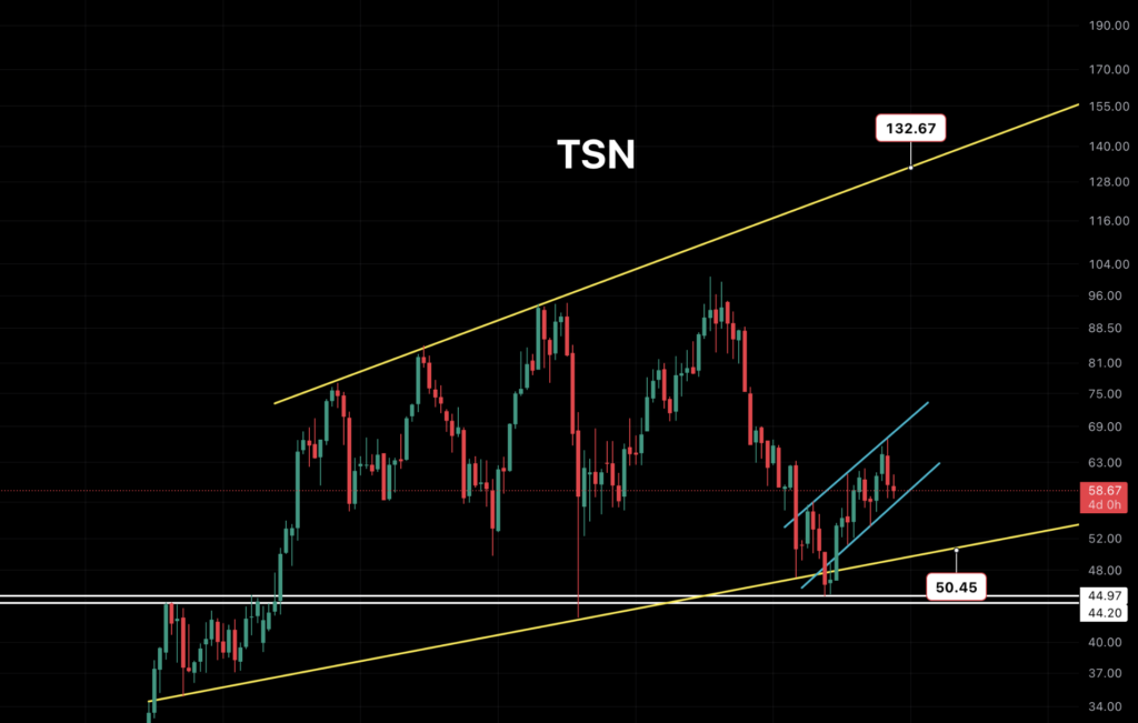 TSN Trading Within a Large Channel - CLEARVALUE INVESTING